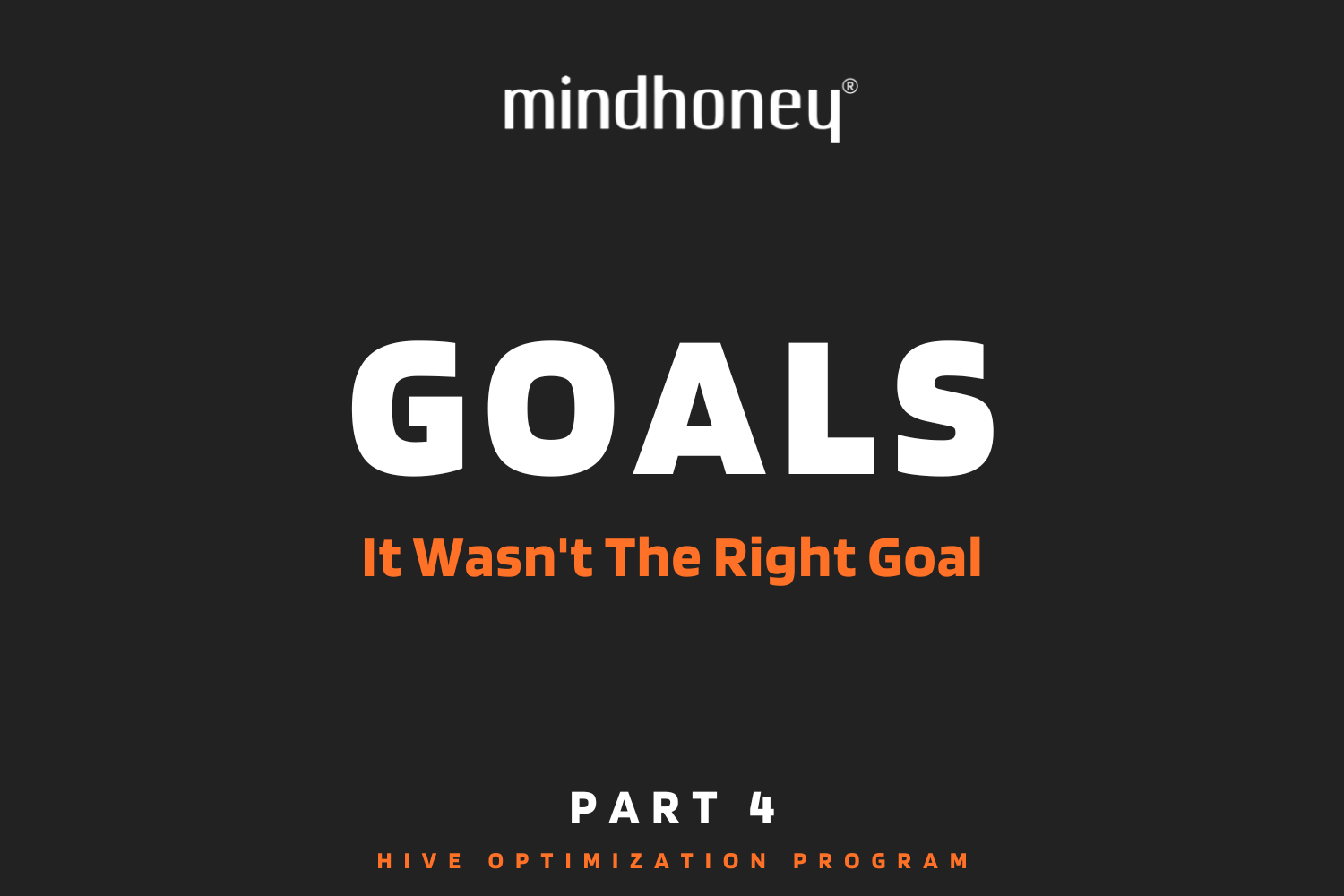 GOALS: Reason #4 - It Wasn't The Right Goal (Part 4/4) – Mindhoney
